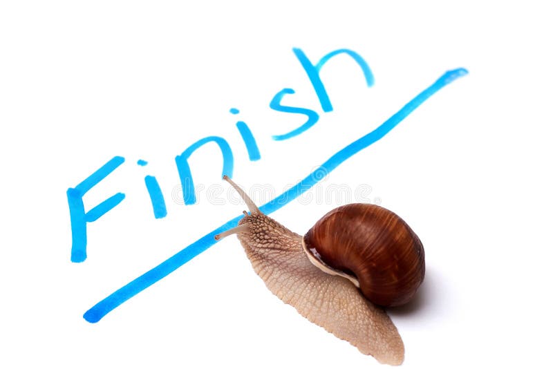 247 Snail Finish Line Stock Photos - Free & Royalty-Free Stock Photos ...