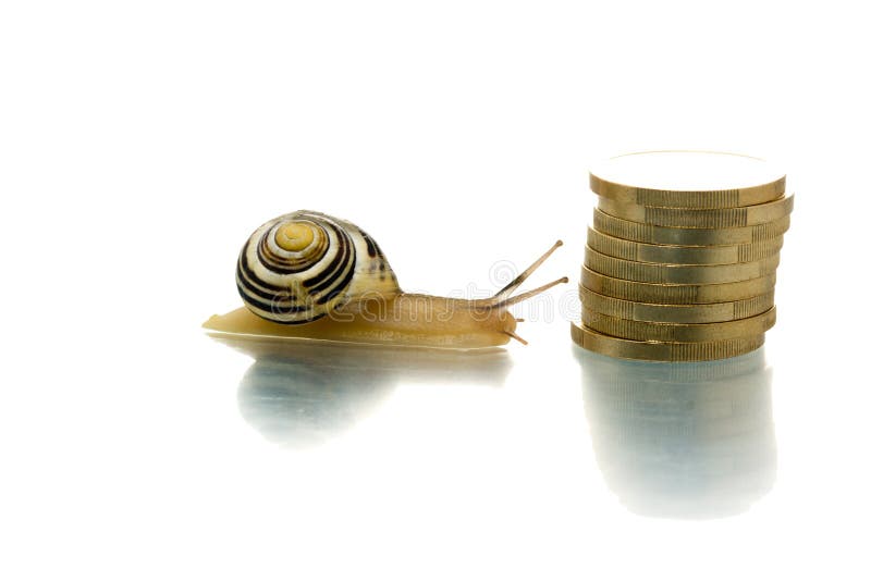 Snail reaching coin pile stock photo. Image of crawling - 7161002