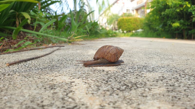 Susanti . (Aylawebs) - Photos