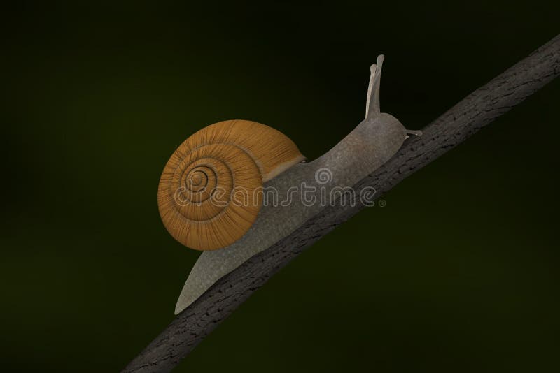 Snail scene stock illustration. Illustration of shell - 12576309