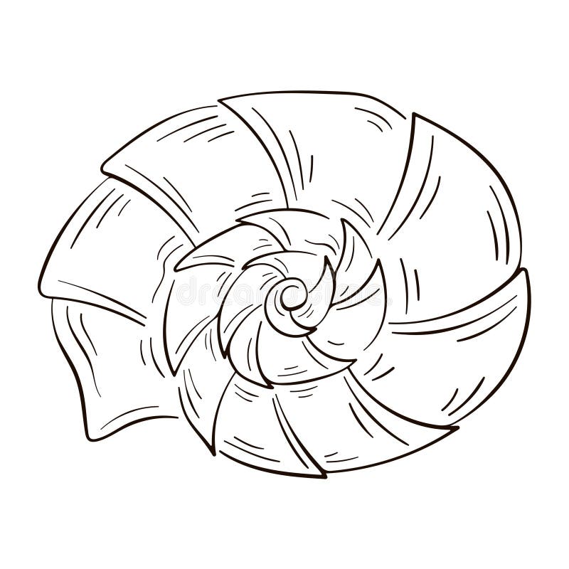 Snail Seashell in Line Art Style. Marine Underwater Twisted Seashell of ...