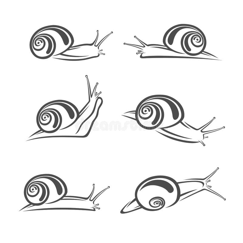 Snail set. Vector stock vector. Illustration of style - 93225948
