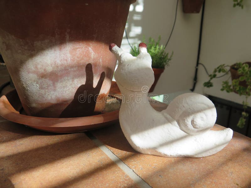 Snail and shadow stock photo. Image of tender, gastropod - 57398592