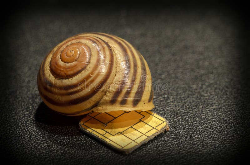Snail shell and chip stock image. Image of shield, electronic - 181082249
