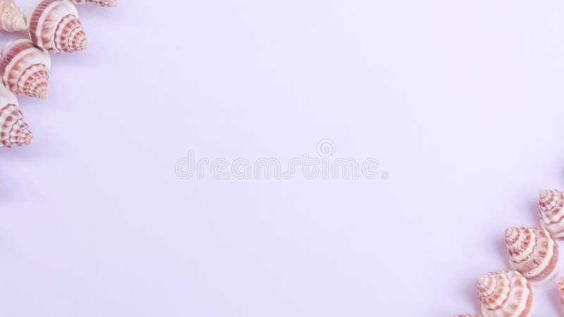 Snail Shell Design on White Frame Stock Image - Image of font, snail ...