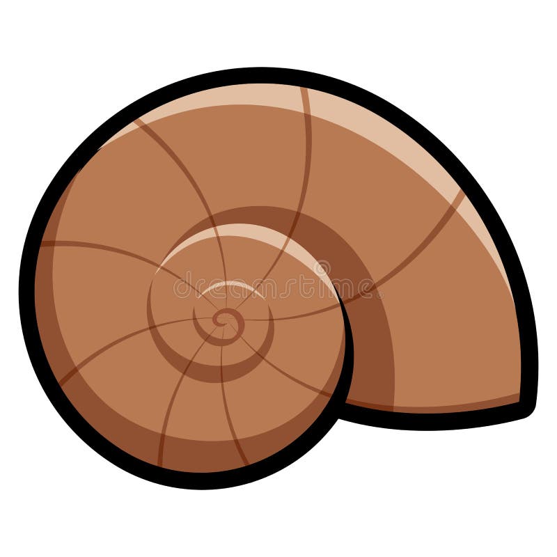 Snail Shell Isolated on White Background Stock Illustration ...