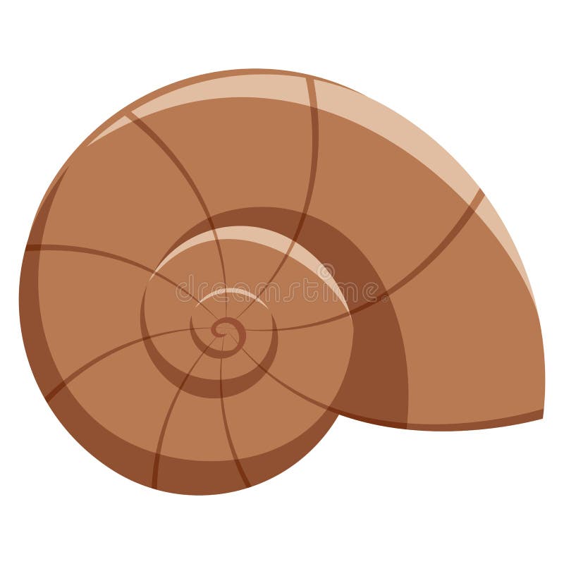 Snail Shell Isolated on White Background Stock Illustration ...
