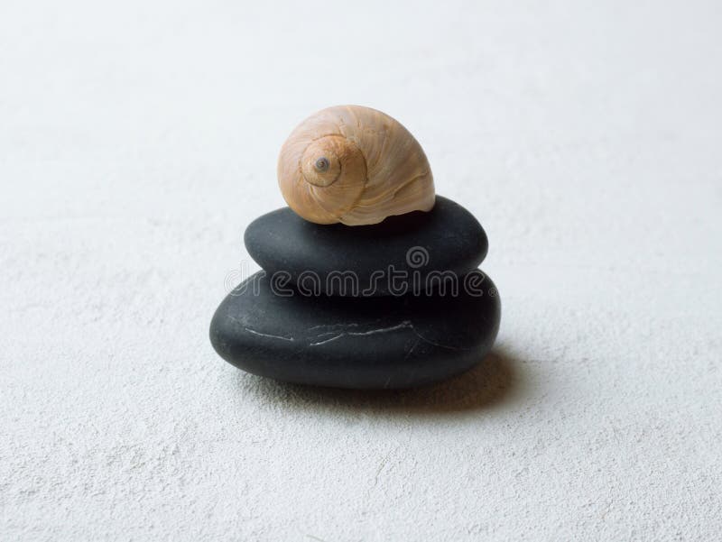 Snail Shell on Pebble Stack. Stock Photo - Image of seashell, mucus ...