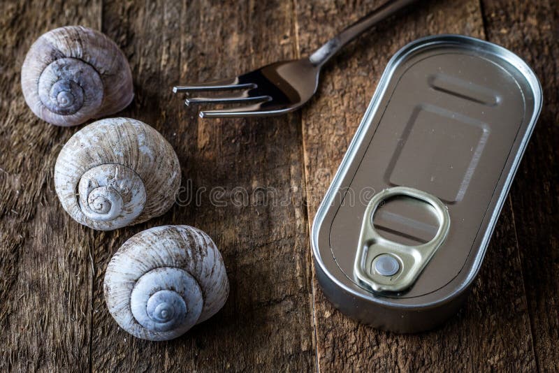 Snail Shell and Tin Can on a Wooden Old Table Stock Image - Image of ...
