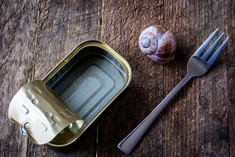 Snail Shell and Tin Can on a Wooden Old Table Stock Image - Image of ...