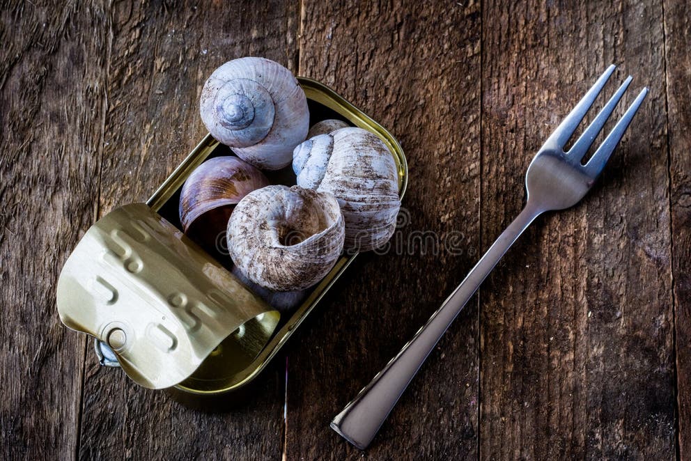 Snail Shell and Tin Can on a Wooden Old Table Stock Photo - Image of ...