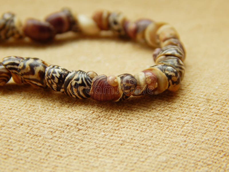 Shells on a string stock image. Image of pattern, string - 101696549