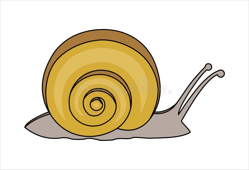 Snail on the Wi-Fi Sign. Slow Internet Speed. Symbol of Slowness ...