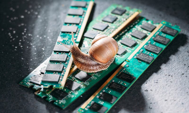 A Snail on the Processor in the Motherboard. Old Computer Stock Photo ...