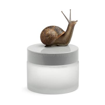 Snail-slime Face Cream in a Pot Stock Image - Image of isolated, care ...