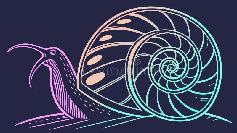 Snail Spiral Shell, Nature Pattern Illustration Vector Design ...
