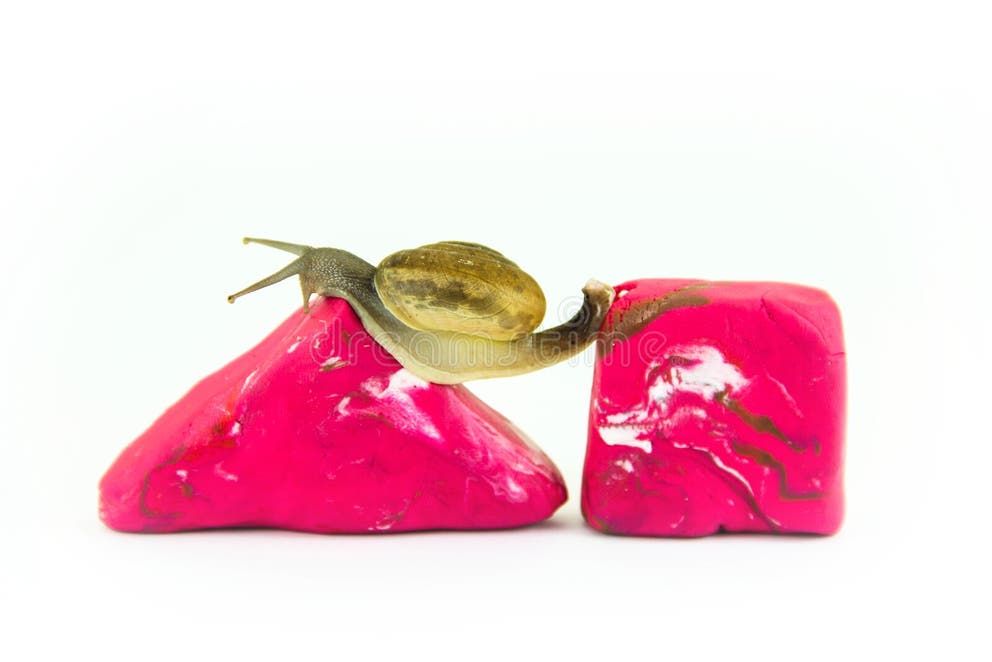 Snail on square triangle stock image. Image of brown - 41766035