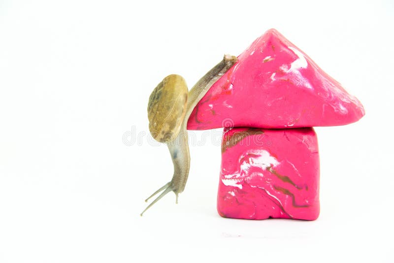 Snail Pink Triangle Stock Photos - Free & Royalty-Free Stock Photos ...