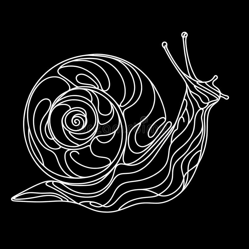 A Snail with a Swirl-patterned Shell in Black and White. Stock ...