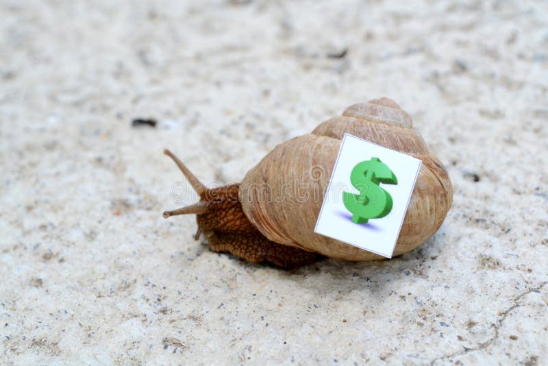Snail with with Symbols of Money on a Shell Stock Photo - Image of loan ...