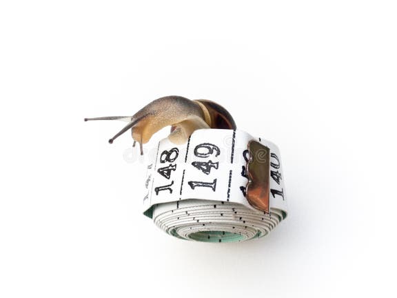 Snail on Tape Measure 2 stock photo. Image of tape, isolated - 9932786