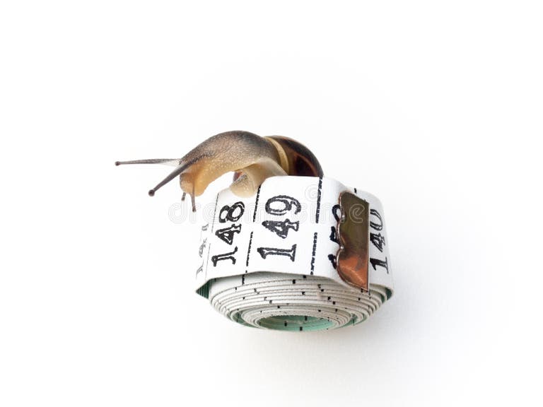Snail on Tape Measure 2 stock photo. Image of tape, isolated - 9932786