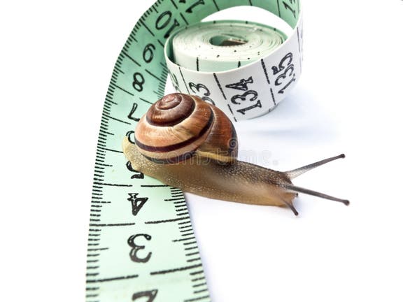 Snail on Tape Measure stock photo. Image of numbers, mollusk - 9932778