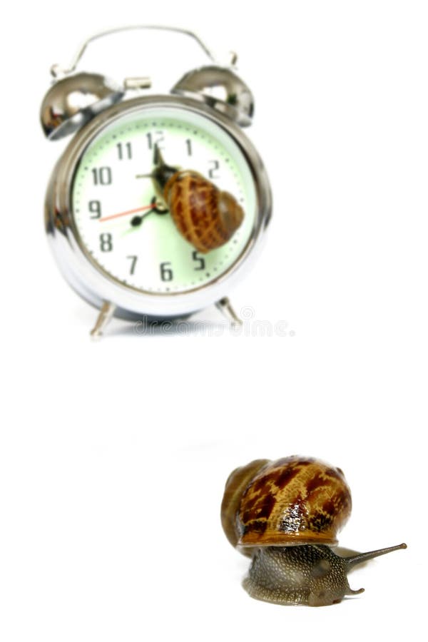 Snail Time stock photo. Image of clock, creepy, alarm, time - 322998