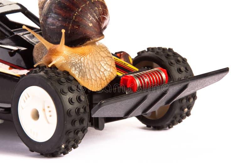 Snail and Tire stock photo. Image of brown, motorized - 31391712