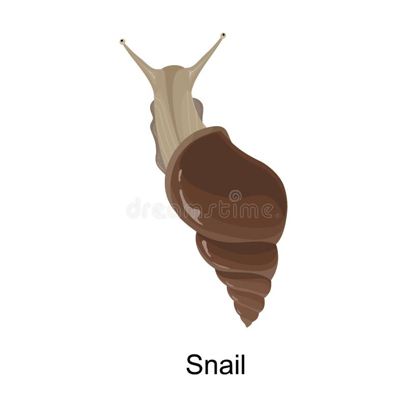Snail Pace Cartoon Stock Illustrations – 32 Snail Pace Cartoon Stock ...