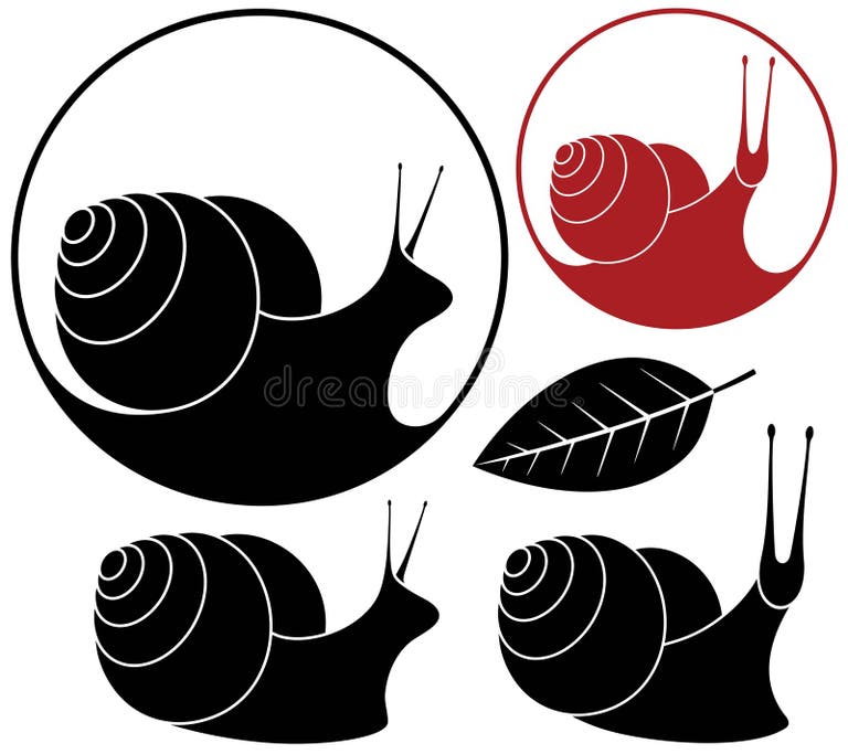 Snail stock vector. Illustration of unusual, shells, symbol - 48662562