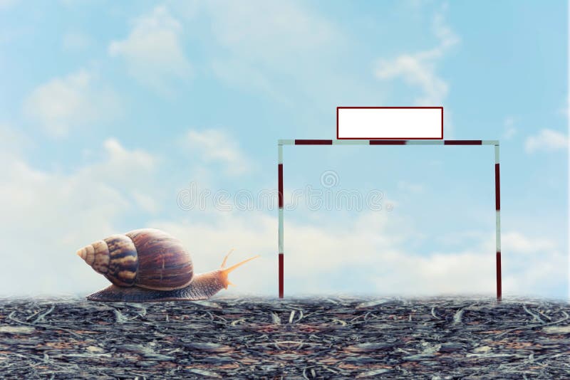 Crawl Finish Line Stock Photos - Free & Royalty-Free Stock Photos from ...