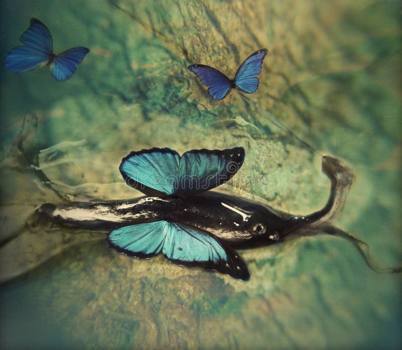 Snail with wings stock image. Image of invader, future - 19364311