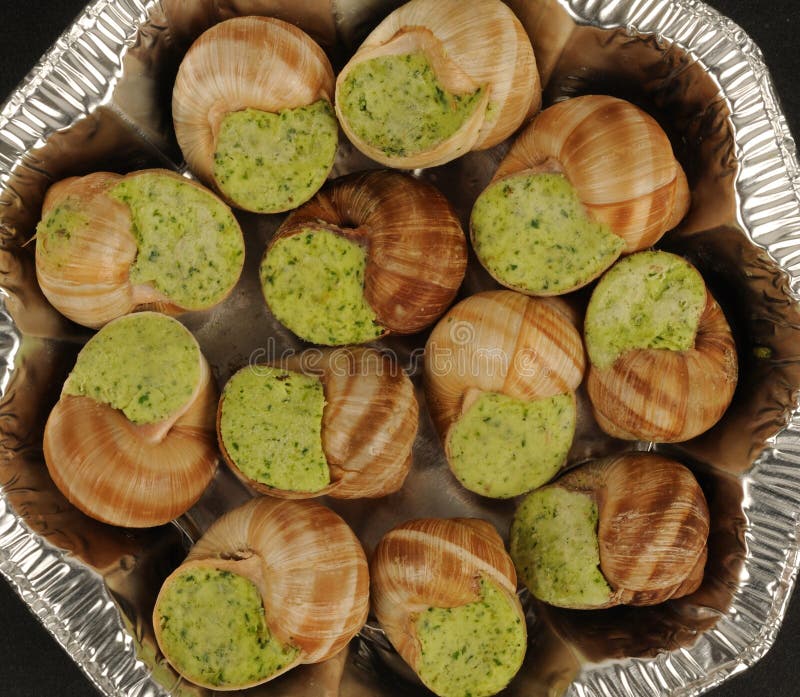 Snails stock photo. Image of appetizer, delights, regionally - 17924782