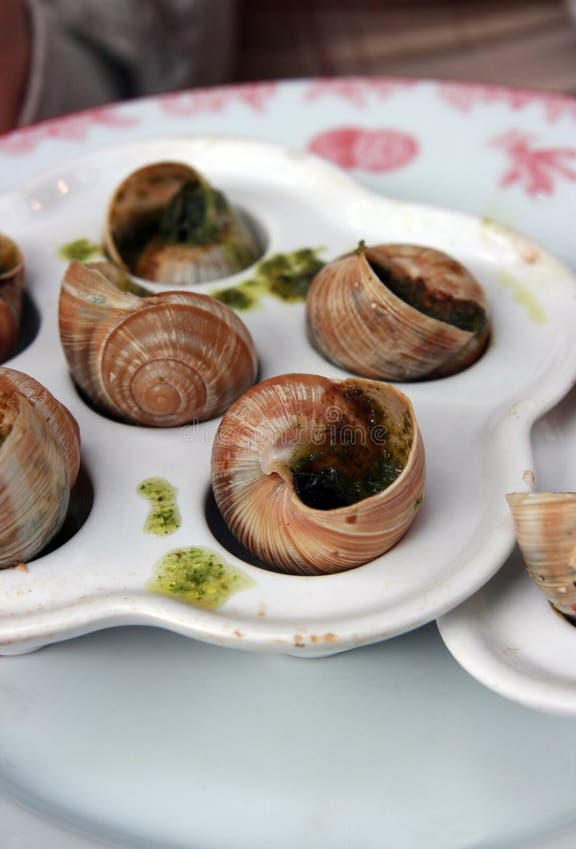 Snails stock image. Image of restaurant, sauce, lunch - 2605169