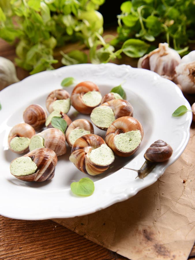 Snails with garlic butter stock image. Image of butter - 42869943