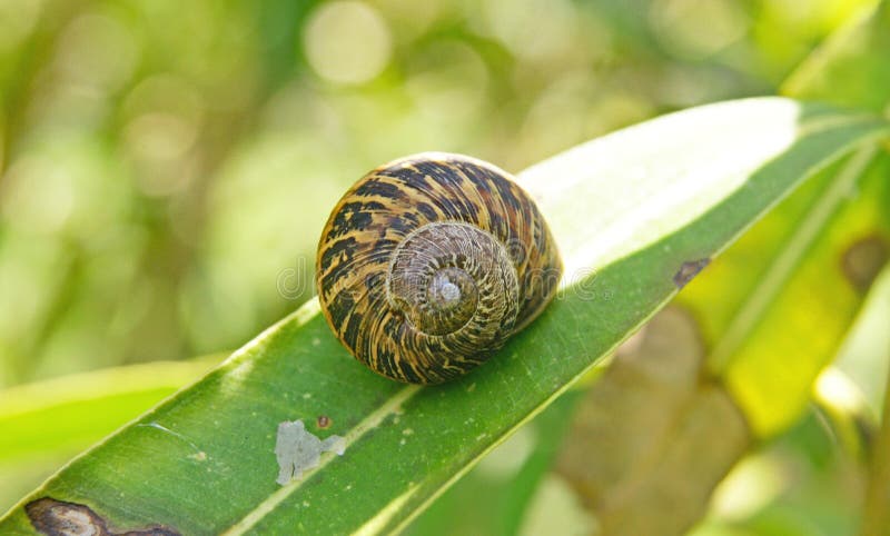 Podo Wall Papper Stock Photos - Free & Royalty-Free Stock Photos from ...