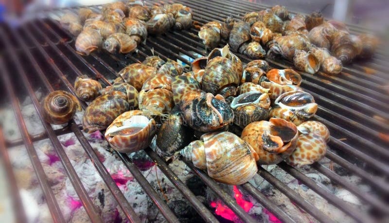 Grilled Sea Snails at Taiwan Stock Image - Image of looks, sold: 35565079