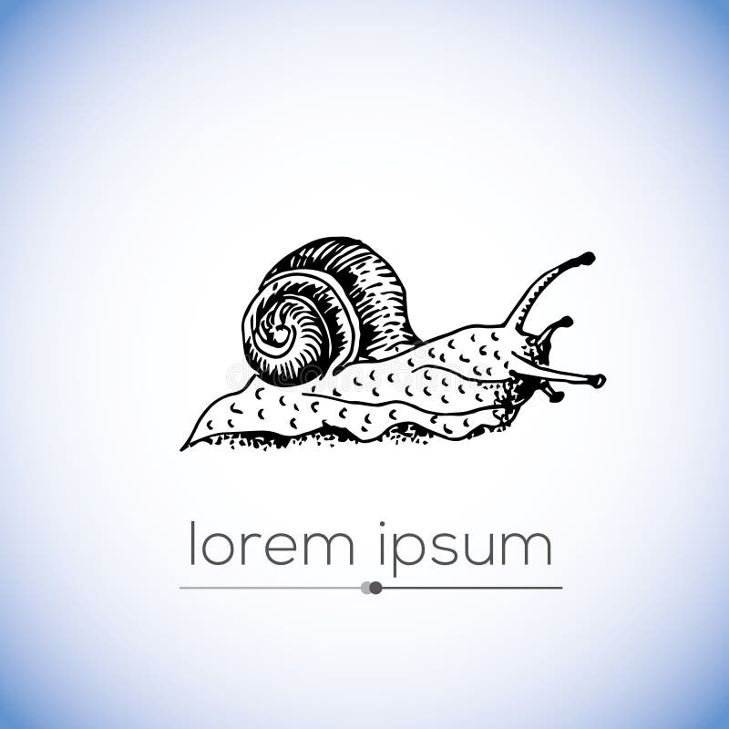 Snails Illustration Vector Hand Drawn Style. Linear Tree Icon Stock ...