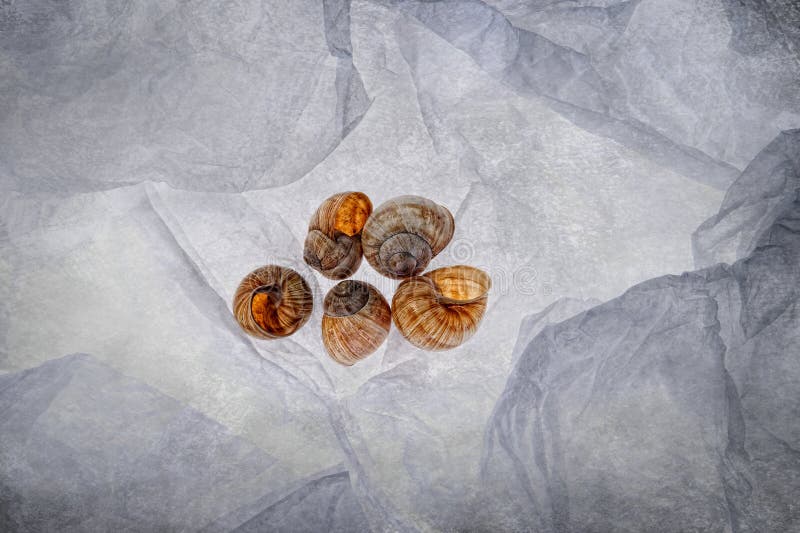 Snails on paper stock image. Image of leaf, painting - 342786817