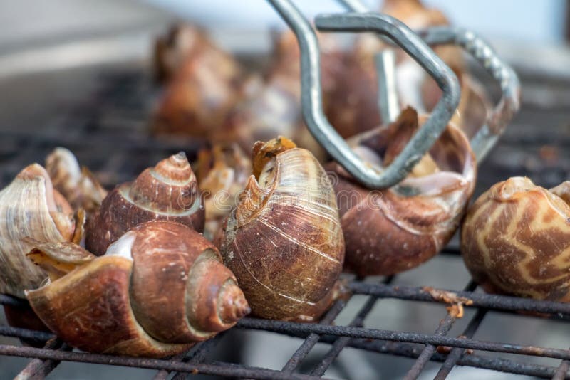 Snails Are Roasting On The Grill. Stock Photo - Image of ingredient ...