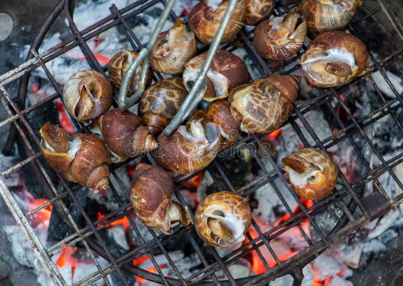 Snails are Roasting on the Grill. Stock Image - Image of asian ...