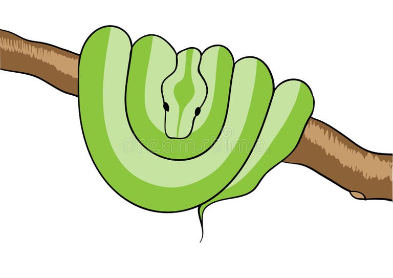 Hanging Snake Stock Illustrations – 1,177 Hanging Snake Stock ...