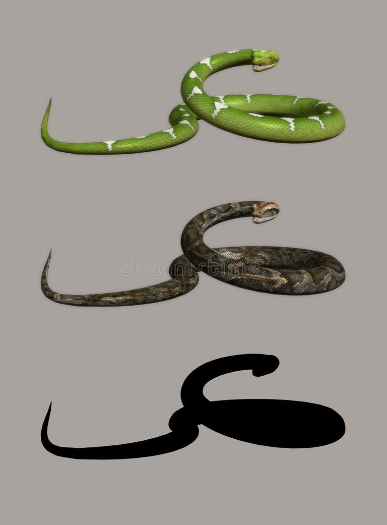 Snake Pose Stock Illustrations – 1,829 Snake Pose Stock Illustrations ...