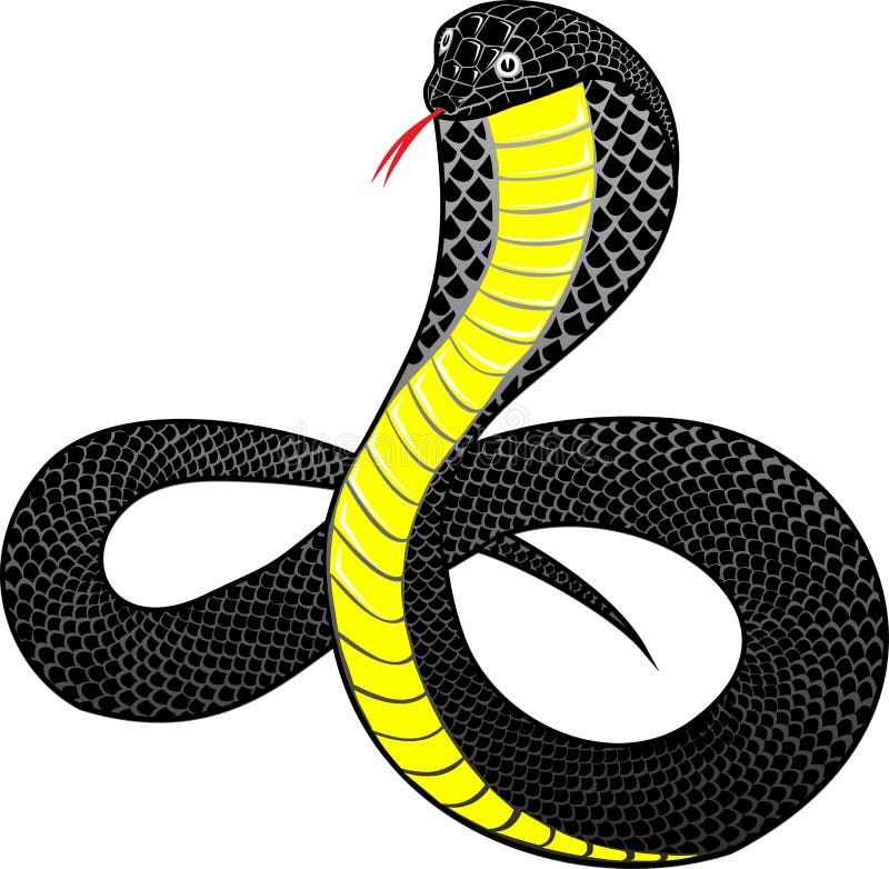 Fierce Snake Stock Illustrations – 2,217 Fierce Snake Stock ...