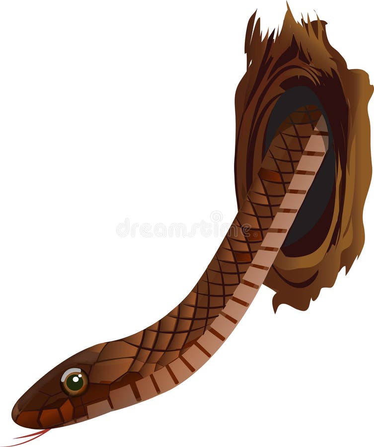 Long Snake Clipart Best