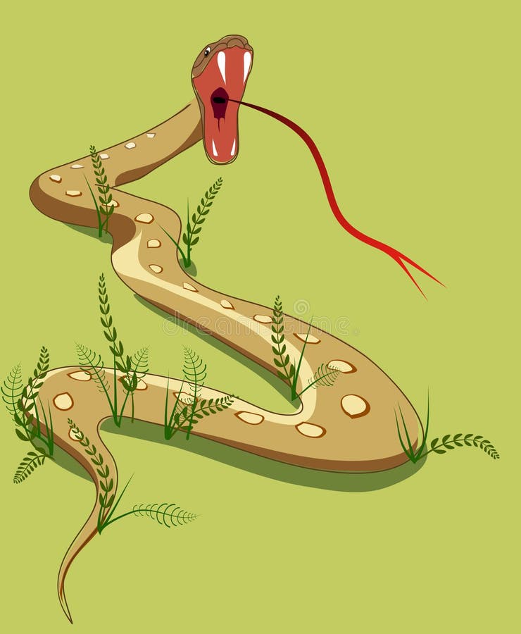 Grass Snake Stock Illustrations – 756 Grass Snake Stock Illustrations ...