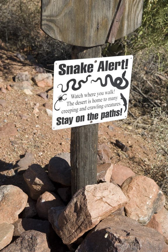 Snake alert stock photo. Image of arizona, desert, united - 25382066