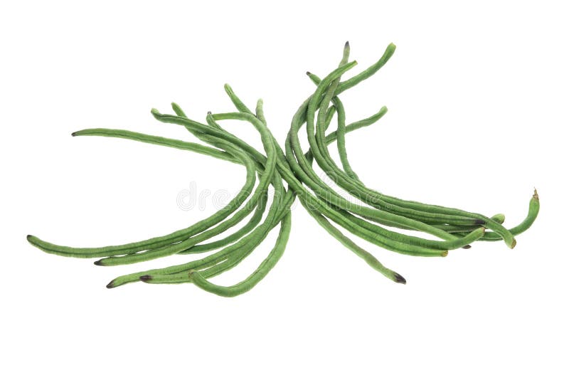 Snake Beans stock image. Image of oriental, isolated - 19959347
