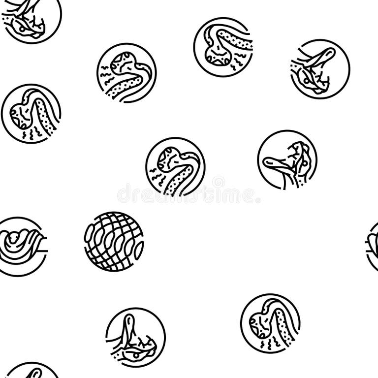 Snake Skin Pattern Mamba Stock Illustrations – 81 Snake Skin Pattern ...